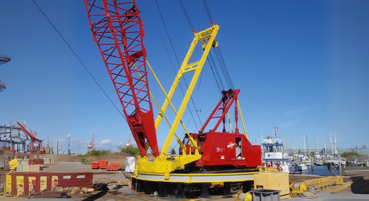 Jagdamba Crane